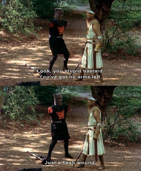 You've Got No Arms | Just A Flesh Wound | Know Your Meme