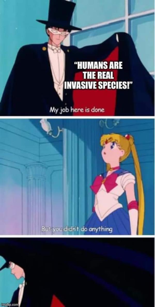 humans are the real invasive species | Sailor Moon | Know Your Meme