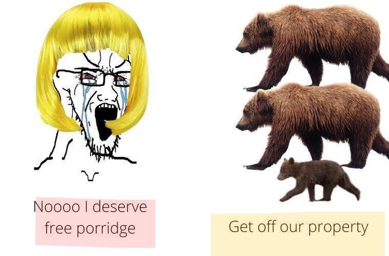 Soyjack goldilocks | /r/PoliticalCompassMemes | Political Compass ...