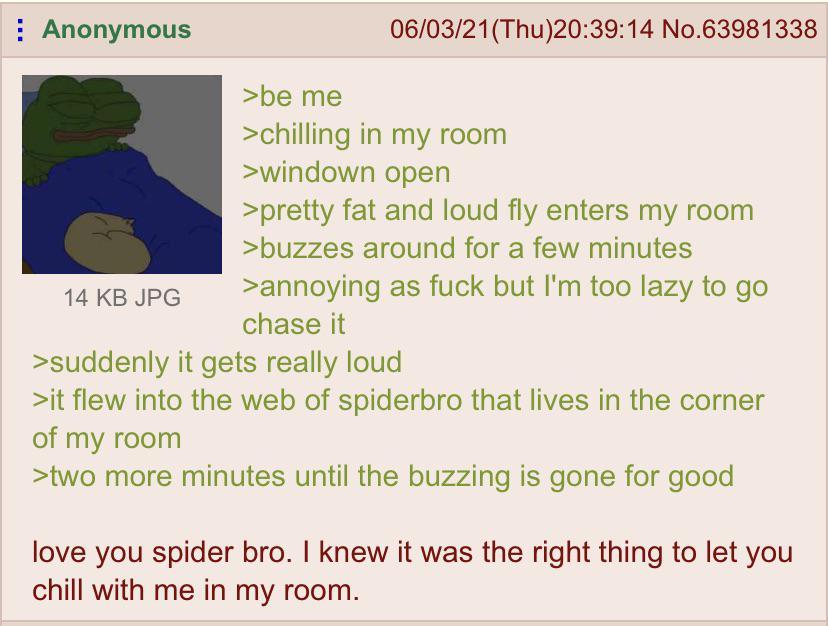 anon chills with spiderbro | /r/Greentext | Greentext Stories | Know ...