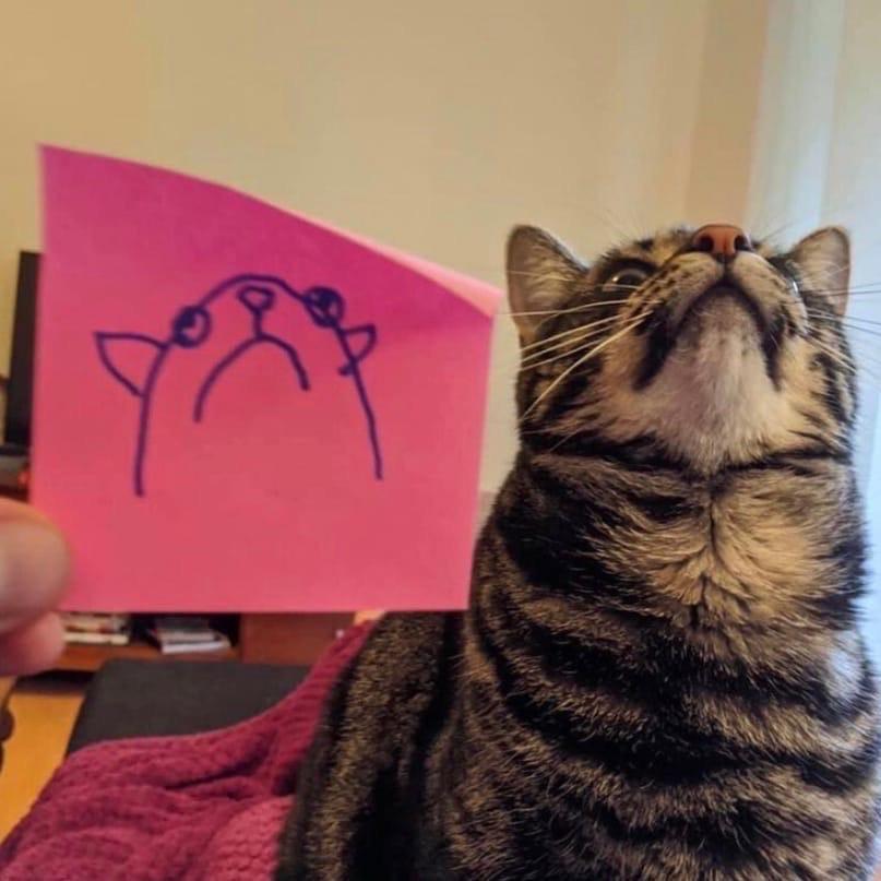 How to Draw a Cat | Cats | Know Your Meme