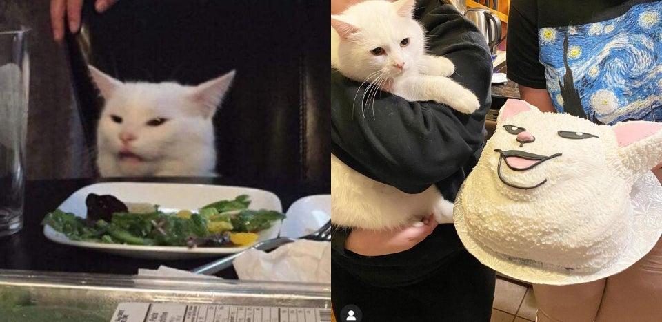 Smudge's Birthday | Smudge the Cat | Know Your Meme