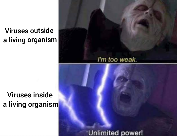 Viruses | Know Your Meme