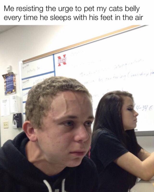 It’s an impossible task | /r/wholesomememes | Wholesome Memes | Know ...