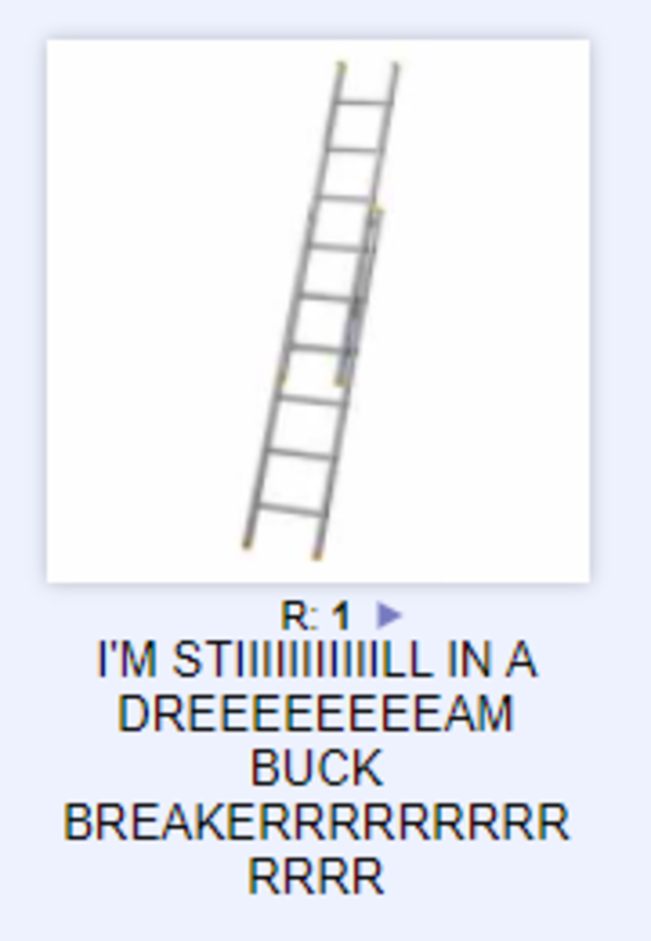 buck breaker | Buck Breaking | Know Your Meme