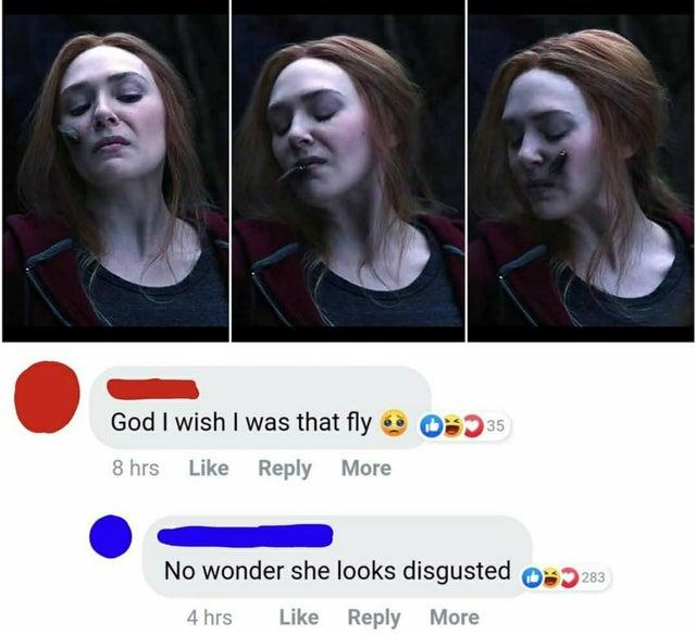 A Fly | Know Your Meme