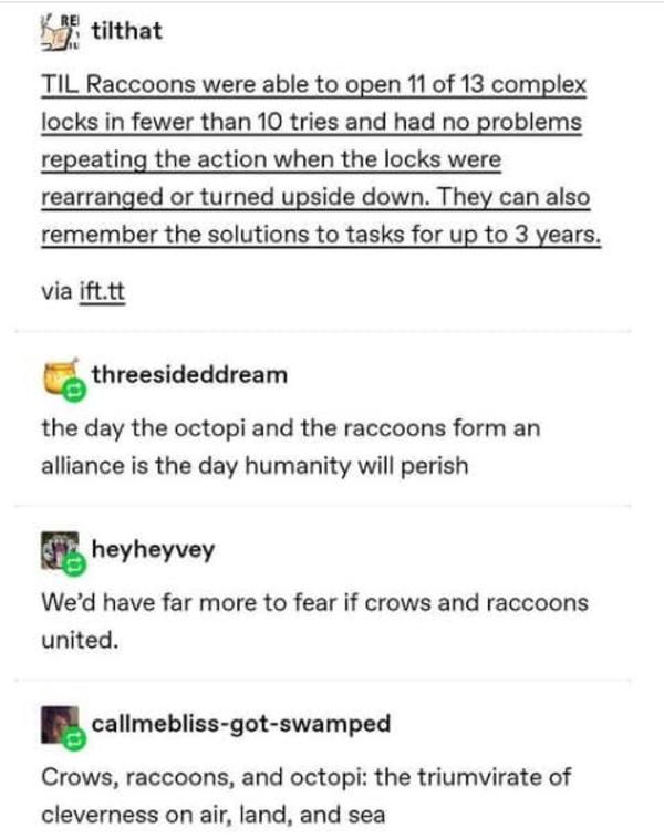 Humanity's Downfall | Know Your Meme