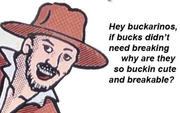 buckin cute and breakable | Buck Breaking | Know Your Meme