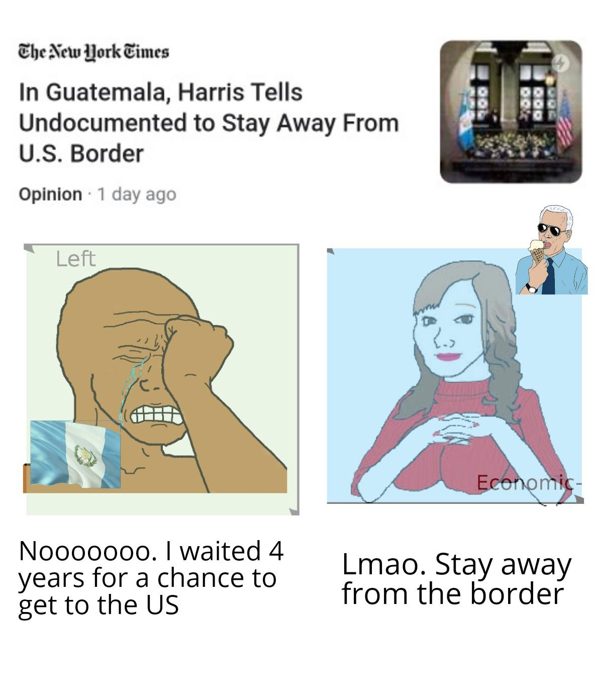 Joe likes chocolate chocolate chip ice-cream | /r/PoliticalCompassMemes ...