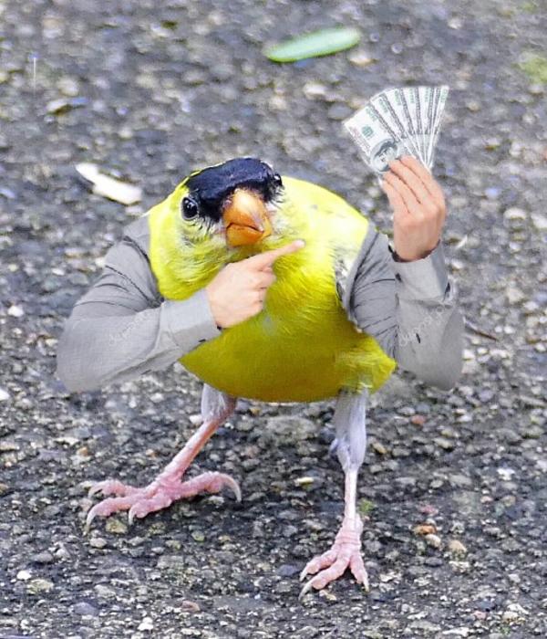 "I've got the money, Tony, now let my family go." | Birds with Arms ...