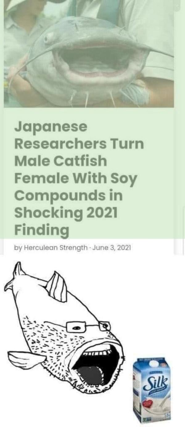 I DON'T LIKE THEM PUTTING SOY IN THE WATER TO TURN THE FRICKEN FISH GAY ...