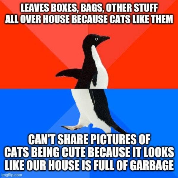 It's for the Cats I Swear | Advice Animals | Know Your Meme