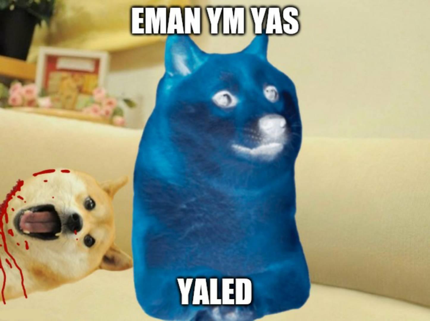 IT'S THE NEGA-DOGE! | /r/dogelore | Ironic Doge Memes | Know Your Meme