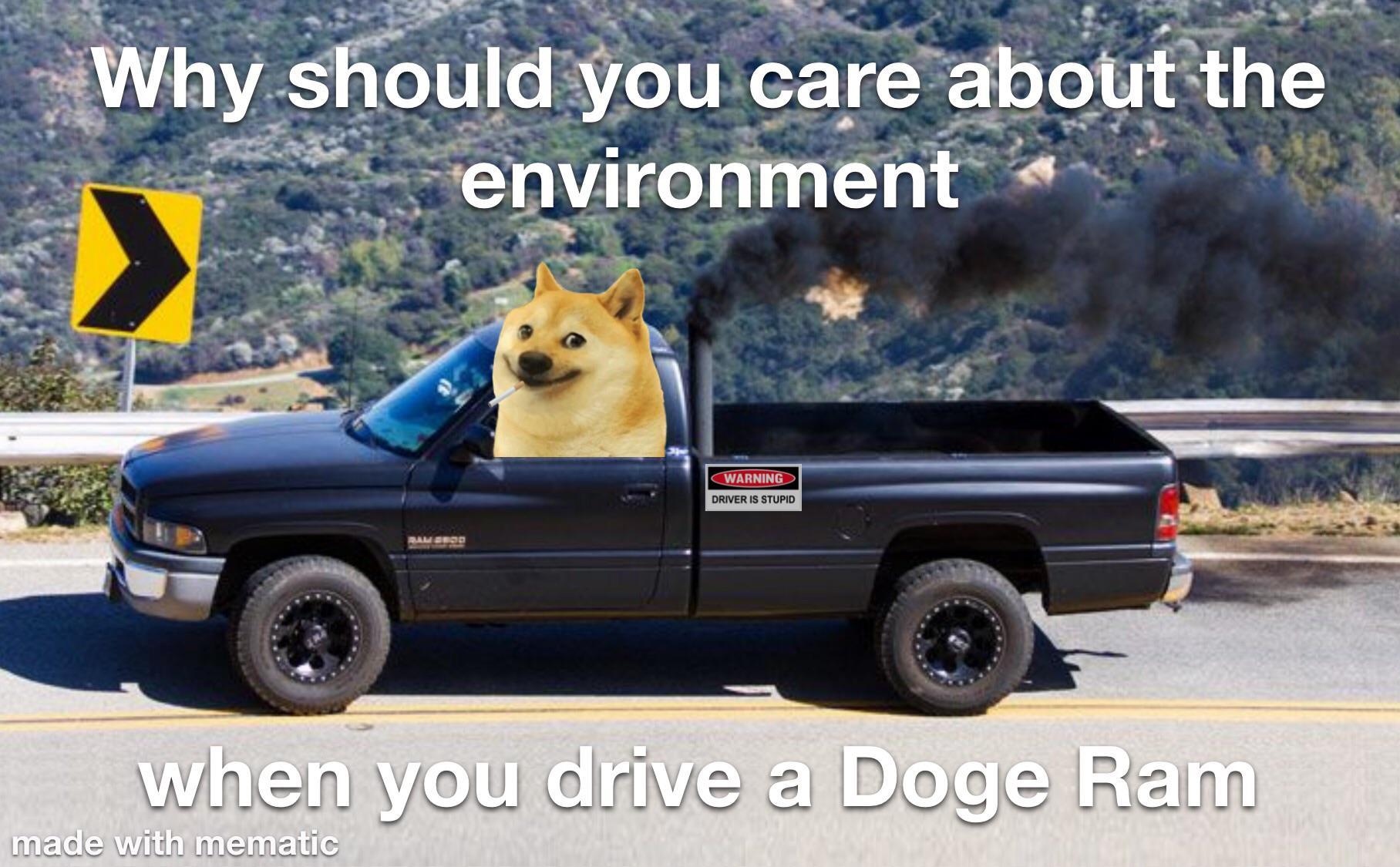 Le Doge Ram has arrived | /r/dogelore | Ironic Doge Memes | Know Your Meme