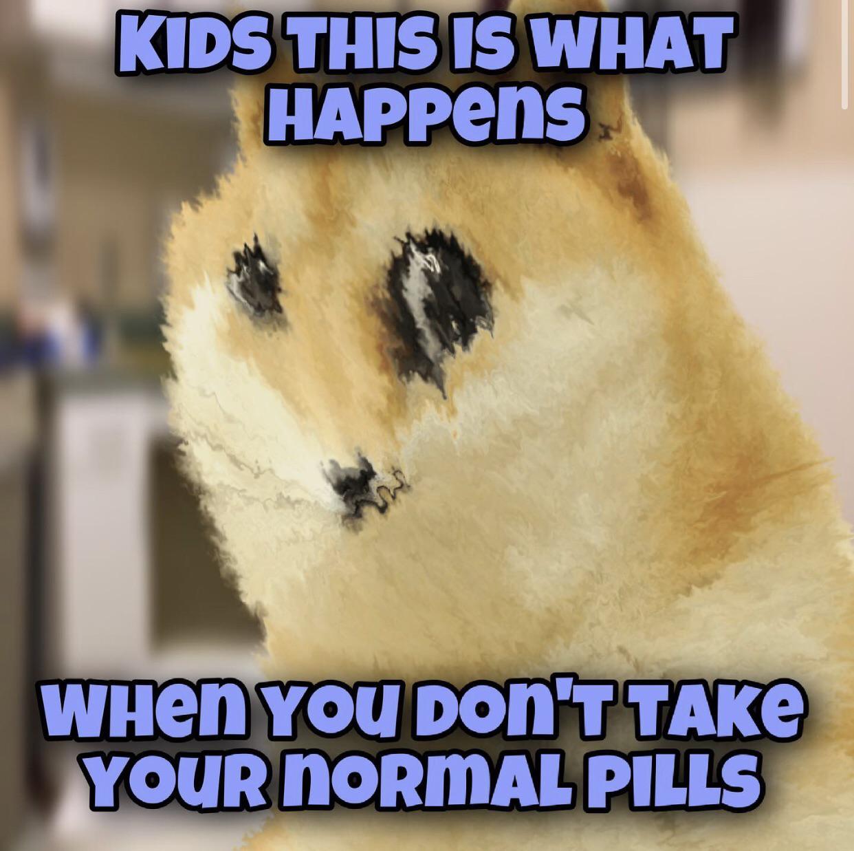 Le normal pills have arrived | /r/dogelore | Ironic Doge Memes | Know ...