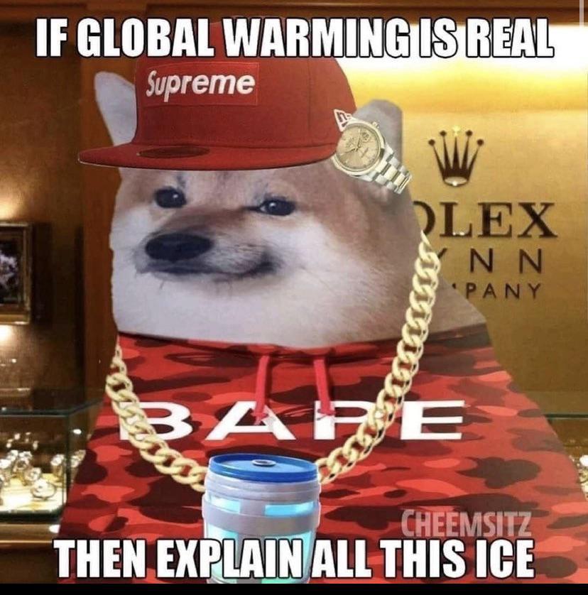 le drip has arrived | /r/dogelore | Ironic Doge Memes | Know Your Meme