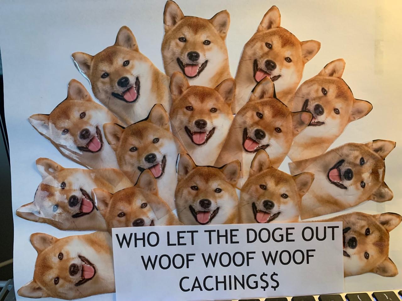 Who Let the Doge Out? | Doge | Know Your Meme