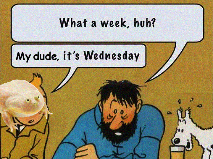 What a Week, Huh? My Dude, It's Wednesday | What a Week, Huh? | Know ...