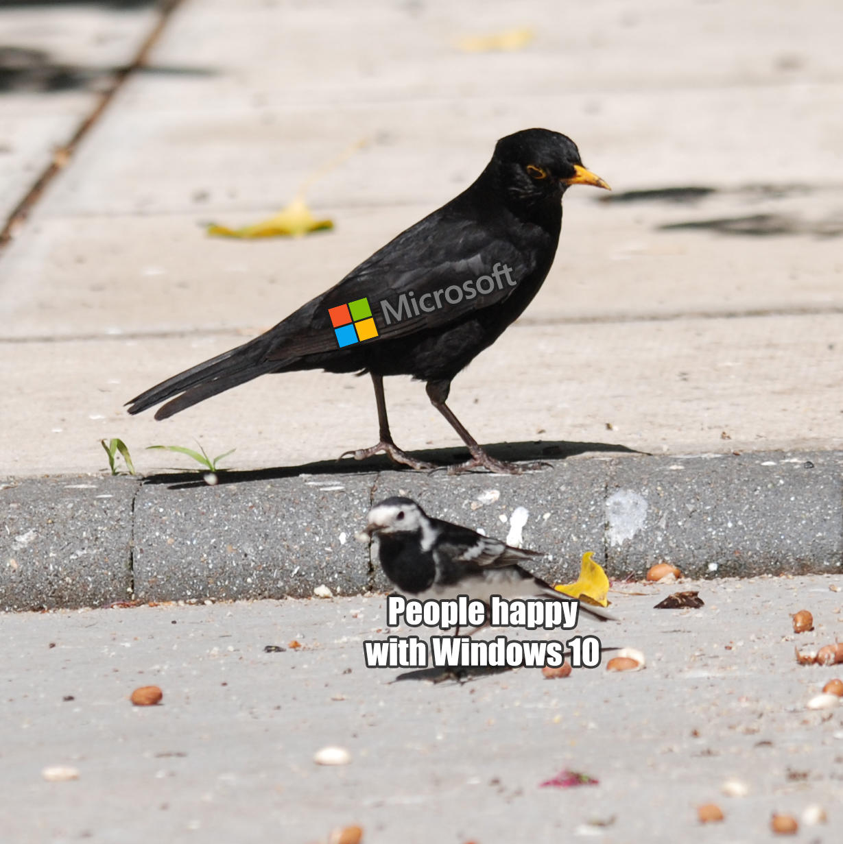 Windows 11 leaks be like: | Microsoft | Know Your Meme