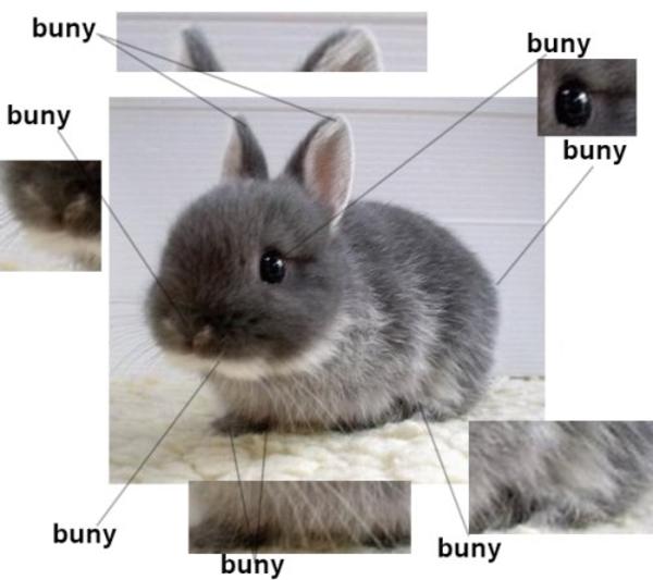 Buny | Bnuuy | Know Your Meme