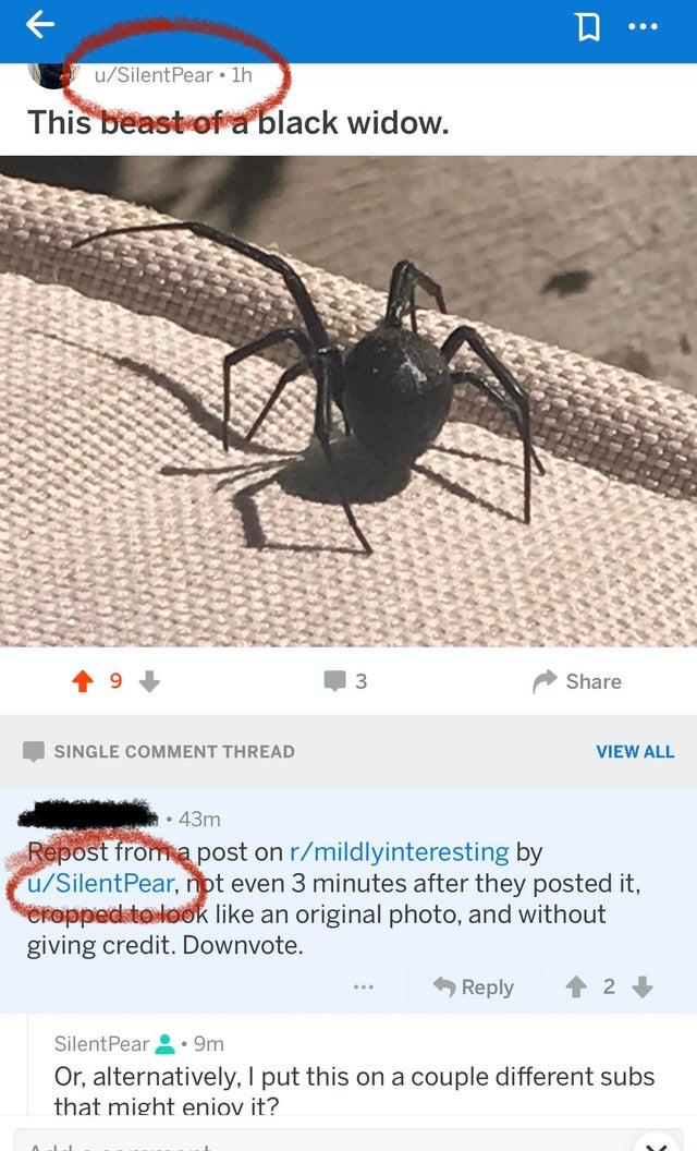 OP Called Out for Being OP | Know Your Meme