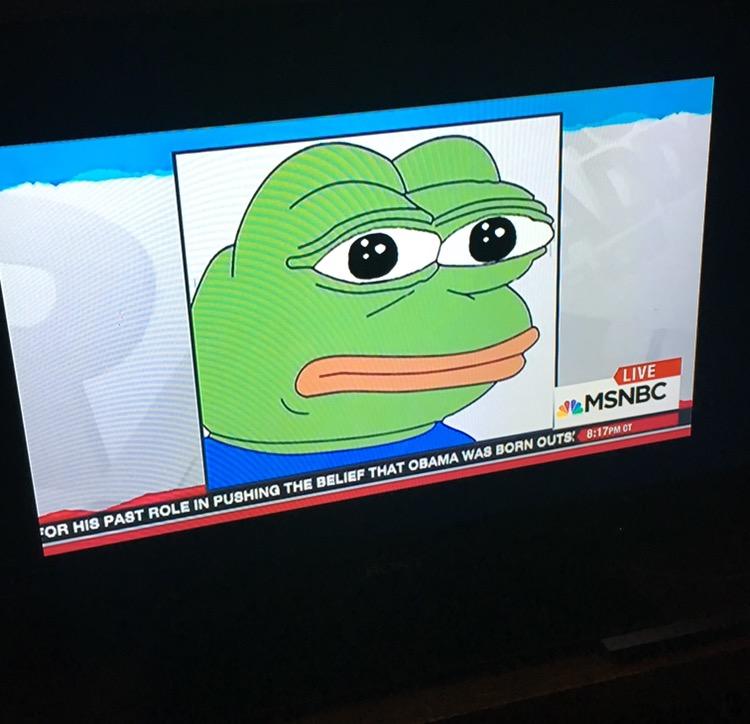 Pepe on television | Pepe the Frog | Know Your Meme