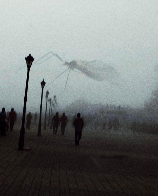 Cursed_Mosquito | Cursed Images | Know Your Meme