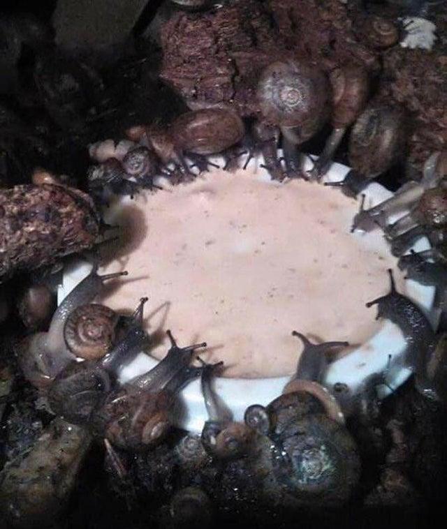 Cursed_Soup | Cursed Images | Know Your Meme