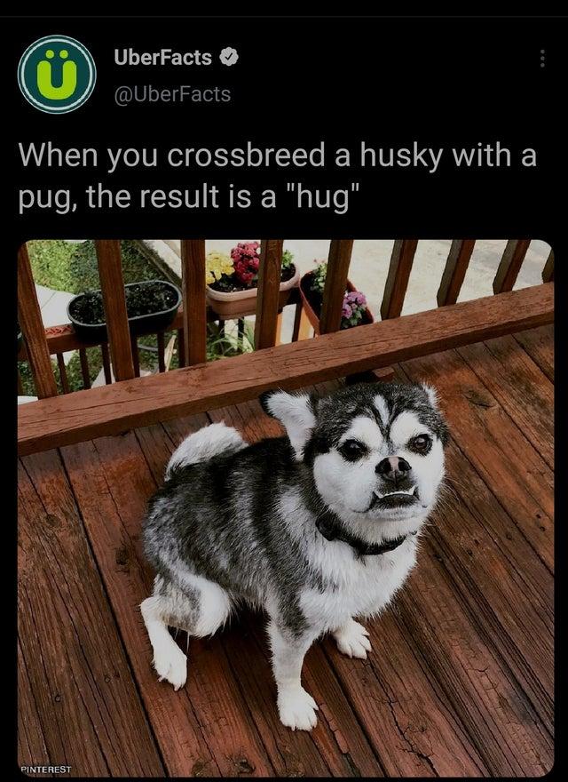 Hugs | Know Your Meme