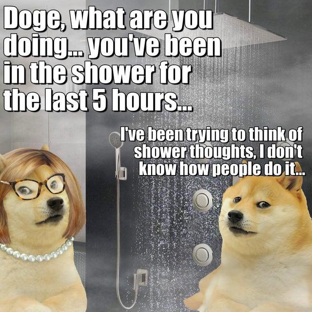 Shower Thoughts | Dogelore | Know Your Meme