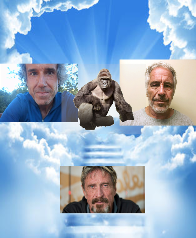 Whacked Heaven | John McAfee's Death | Know Your Meme