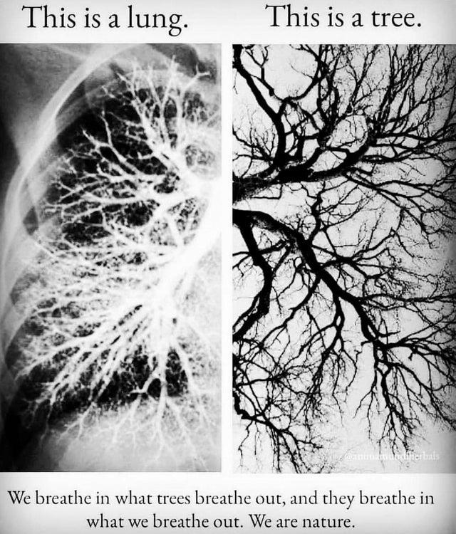 Nature | Know Your Meme