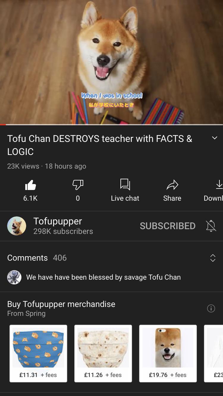 what the like ratio should be | /r/wholesomememes | Wholesome Memes ...