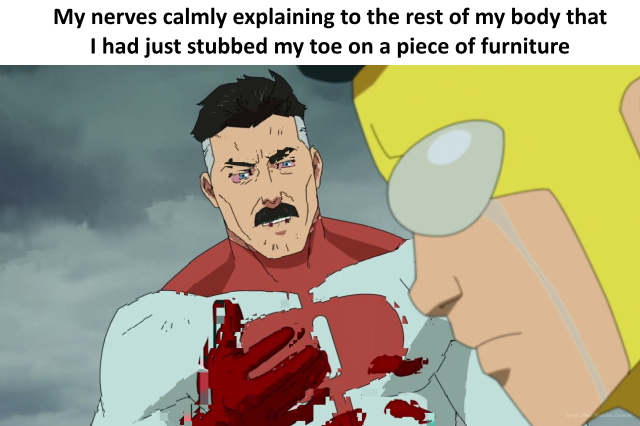 Stubbed Toe | Invincible | Know Your Meme