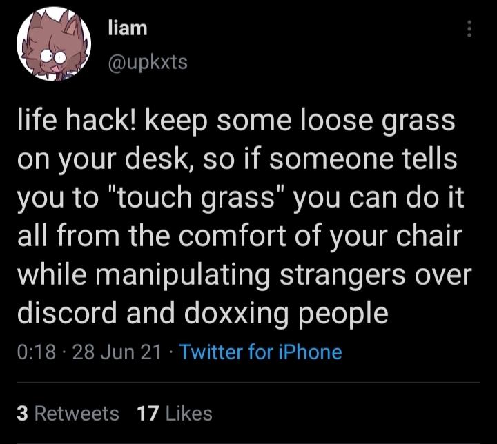 Touching Grass | Know Your Meme