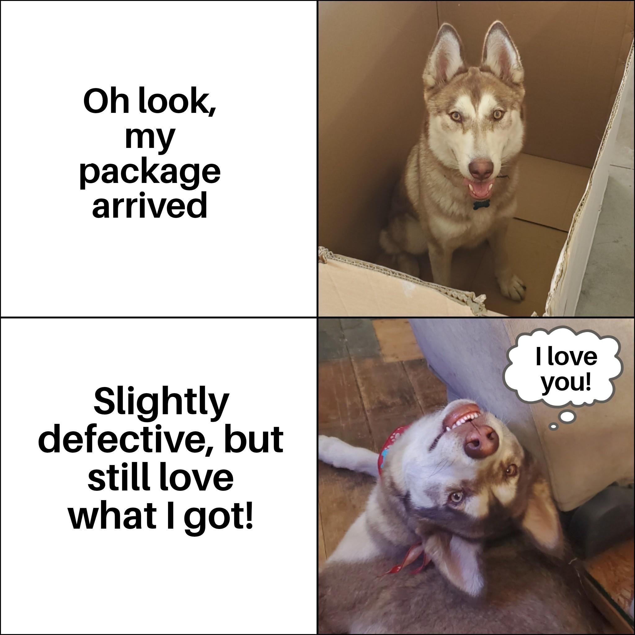 Some of the best things in life are slightly defective. | /r ...