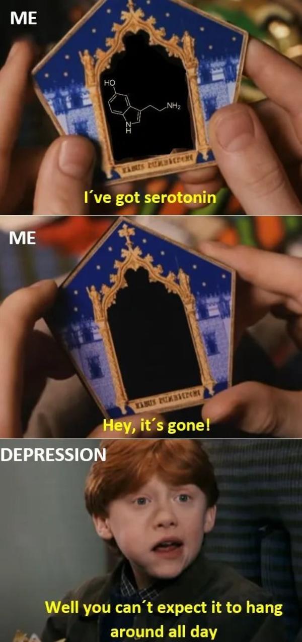 Serotonin | Know Your Meme