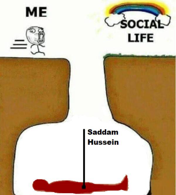 Social life | Saddam Hussein's Hiding Place | Know Your Meme