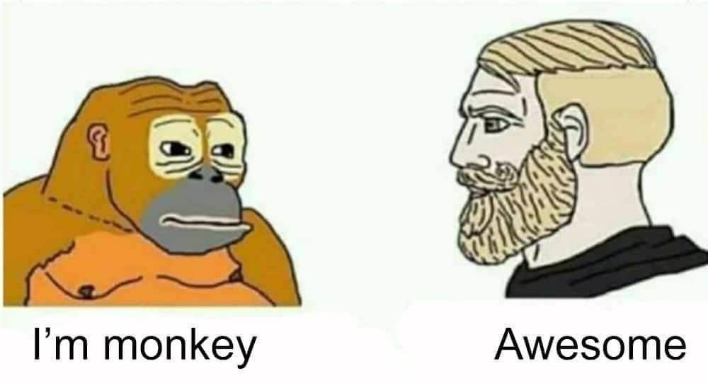 I'm Monkey - Awesome | You're Such a Dumb Animal / Chad vs. Monkey ...