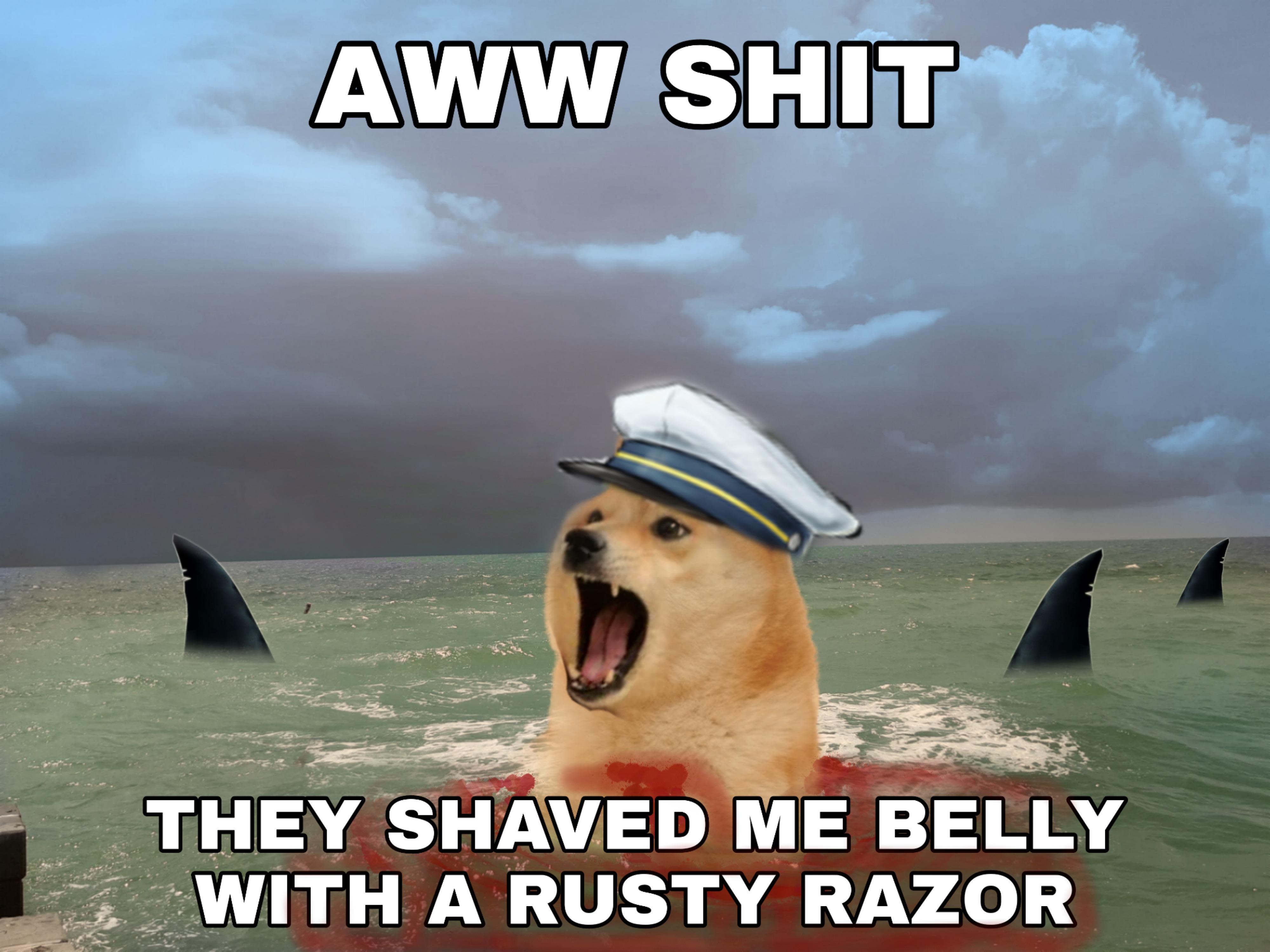 Le drunken sailor is about to regret taking this job | /r/dogelore ...