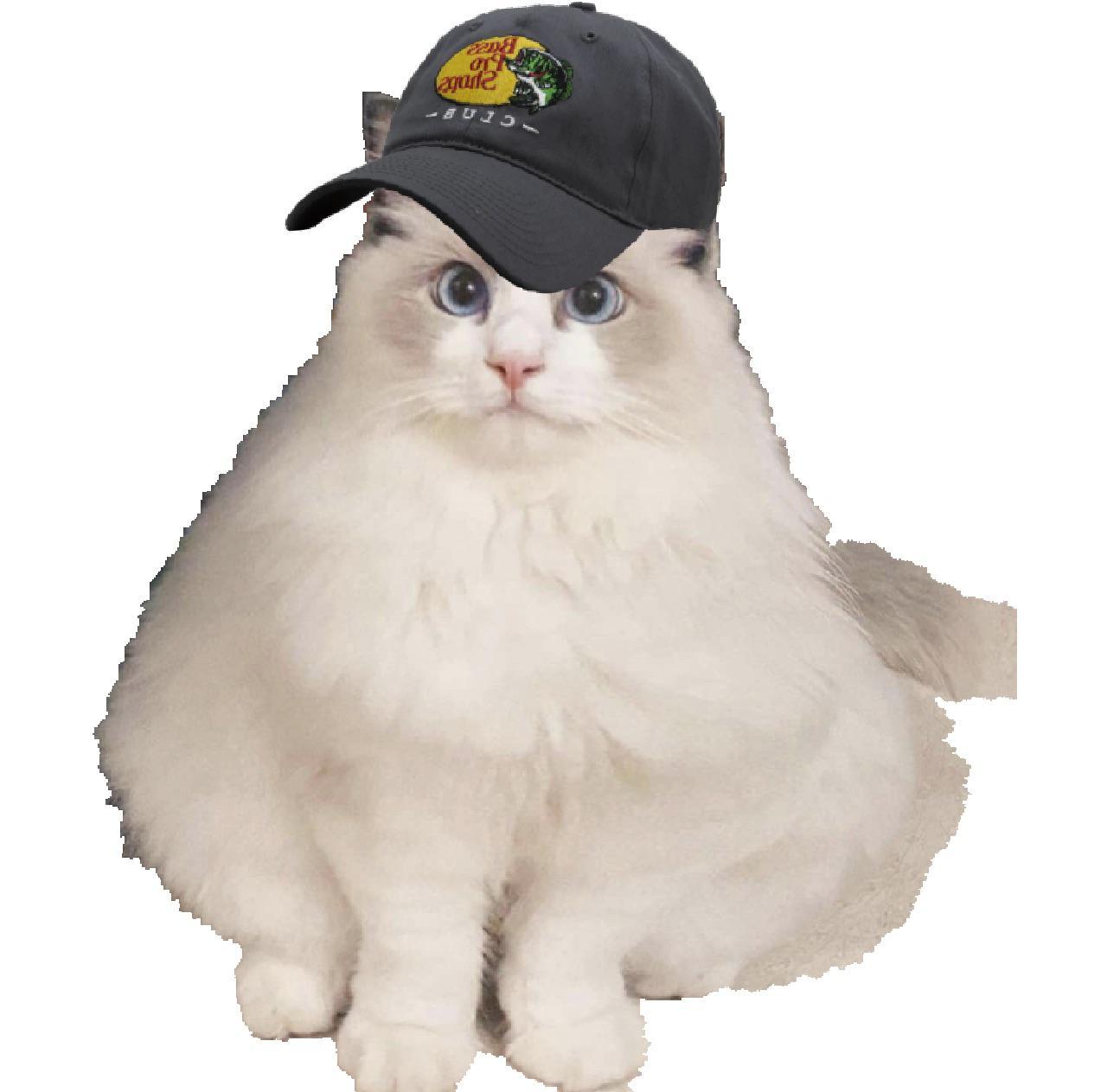 Youve heard of uncle murphy. Now get ready for aunt martha | /r ...