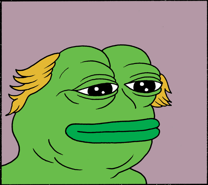 Pepe blond bald | Pepe the Frog | Know Your Meme