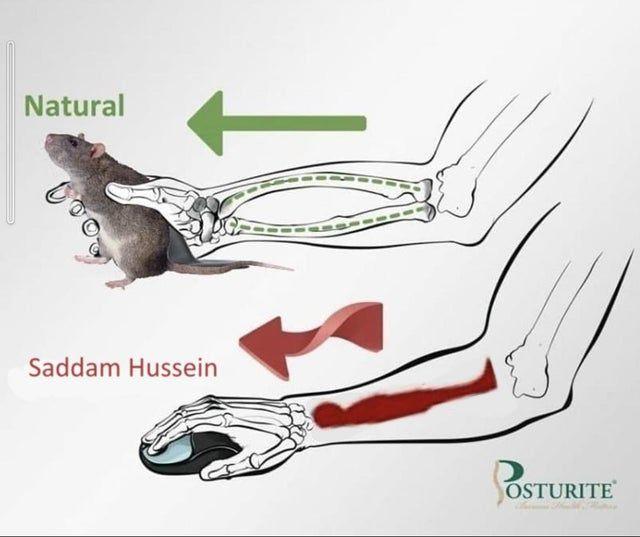 saddam hussein mouse | Saddam Hussein's Hiding Place | Know Your Meme