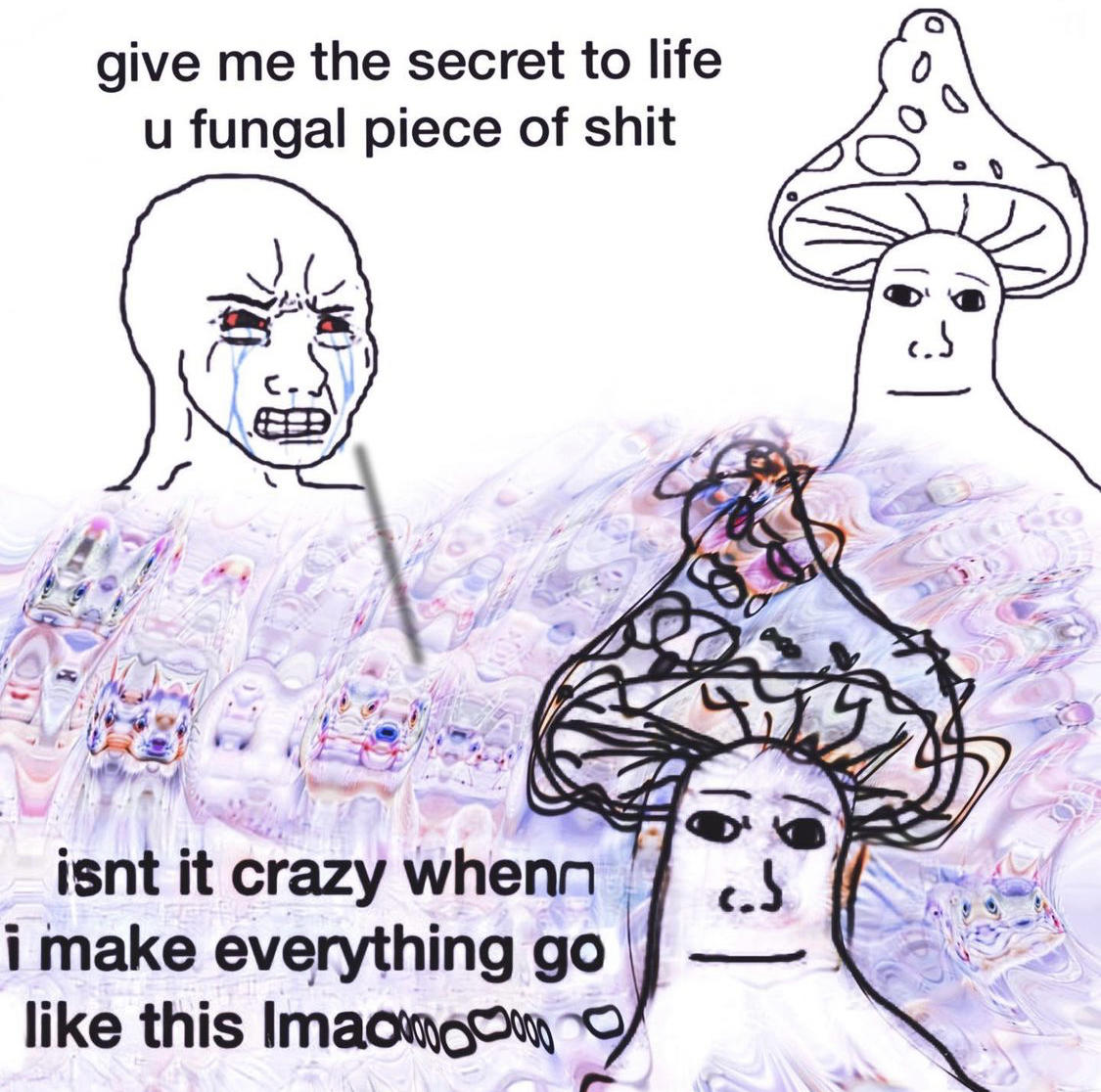fungal piece of s*** | Shroomjak / Mushroom Wojak | Know Your Meme