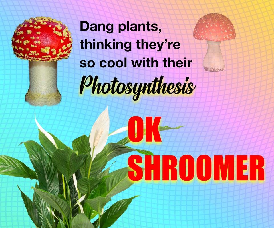 Ok shroomer | Shroomer | Know Your Meme