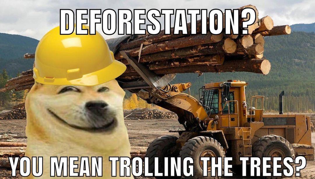 Deforestation? You Mean Trolling the Trees? | You Mean Trolling? | Know ...