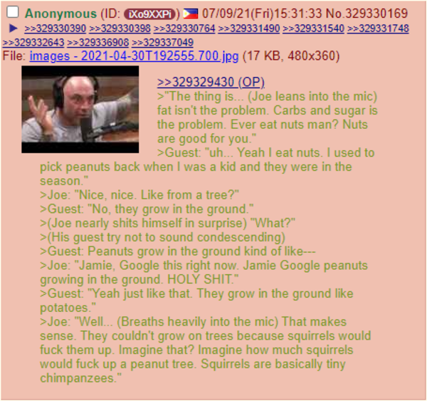 Anon Summarises The Joe Rogan Experience | /r/Greentext | Greentext ...