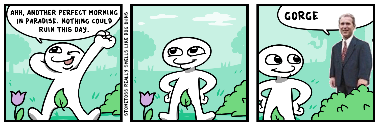 gorge | StoneToss | Know Your Meme