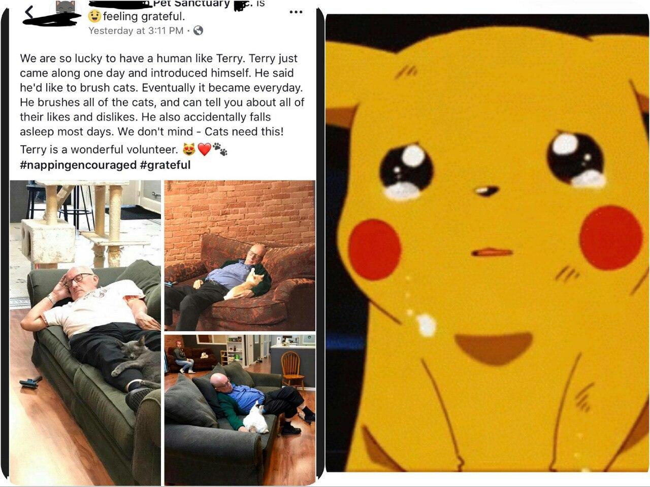 Respectfully. | /r/wholesomememes | Wholesome Memes | Know Your Meme