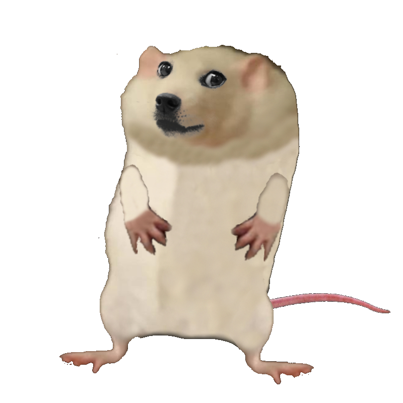 Doge Rat, I let you choose the name of this animal | /r/dogelore ...